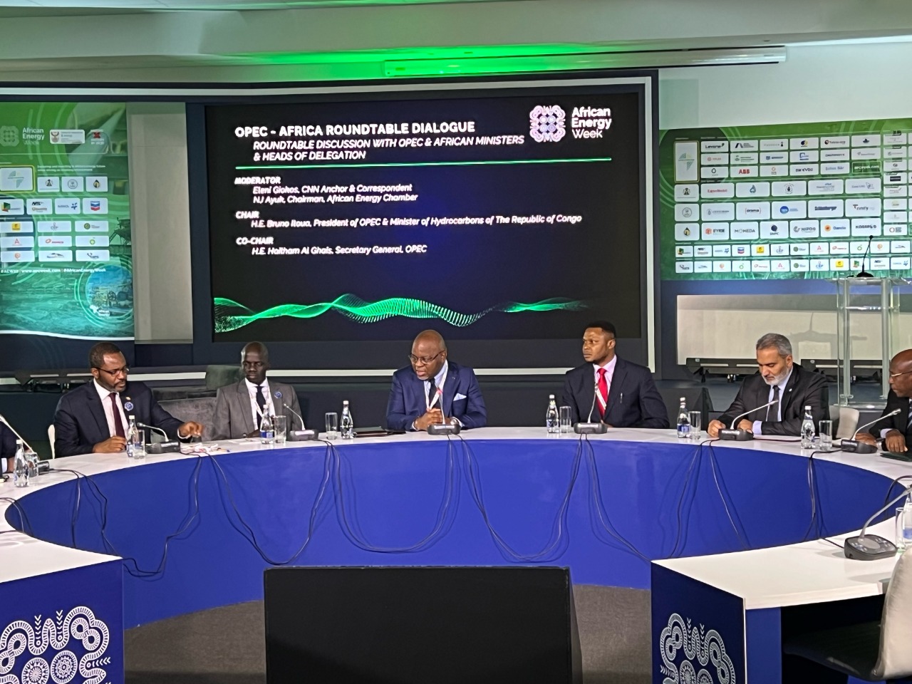 OPEC, African Energy Leaders Unite for Historic Roundtable Discussion ...