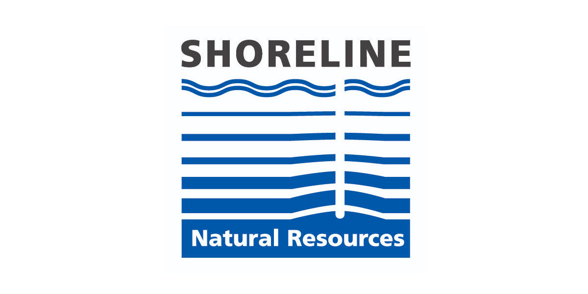 Pioneering Pragmatic Energy Advancement: Shoreline Energy Joins AEW ...