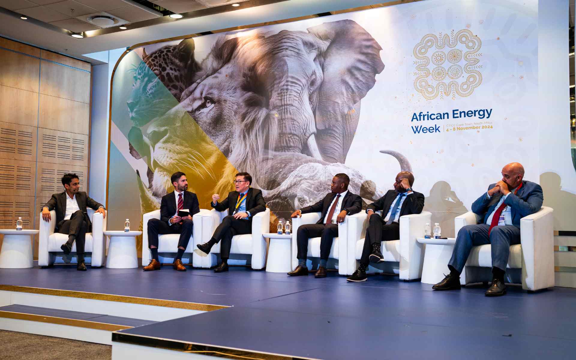 AEW 2024 Panel Deliberates Path Towards Private Power Provision in ...