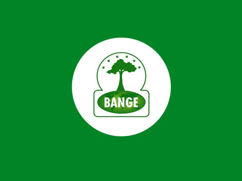 BANGE to Drive Investment in Equatorial Guinea’s Oil & Gas Sector at ...