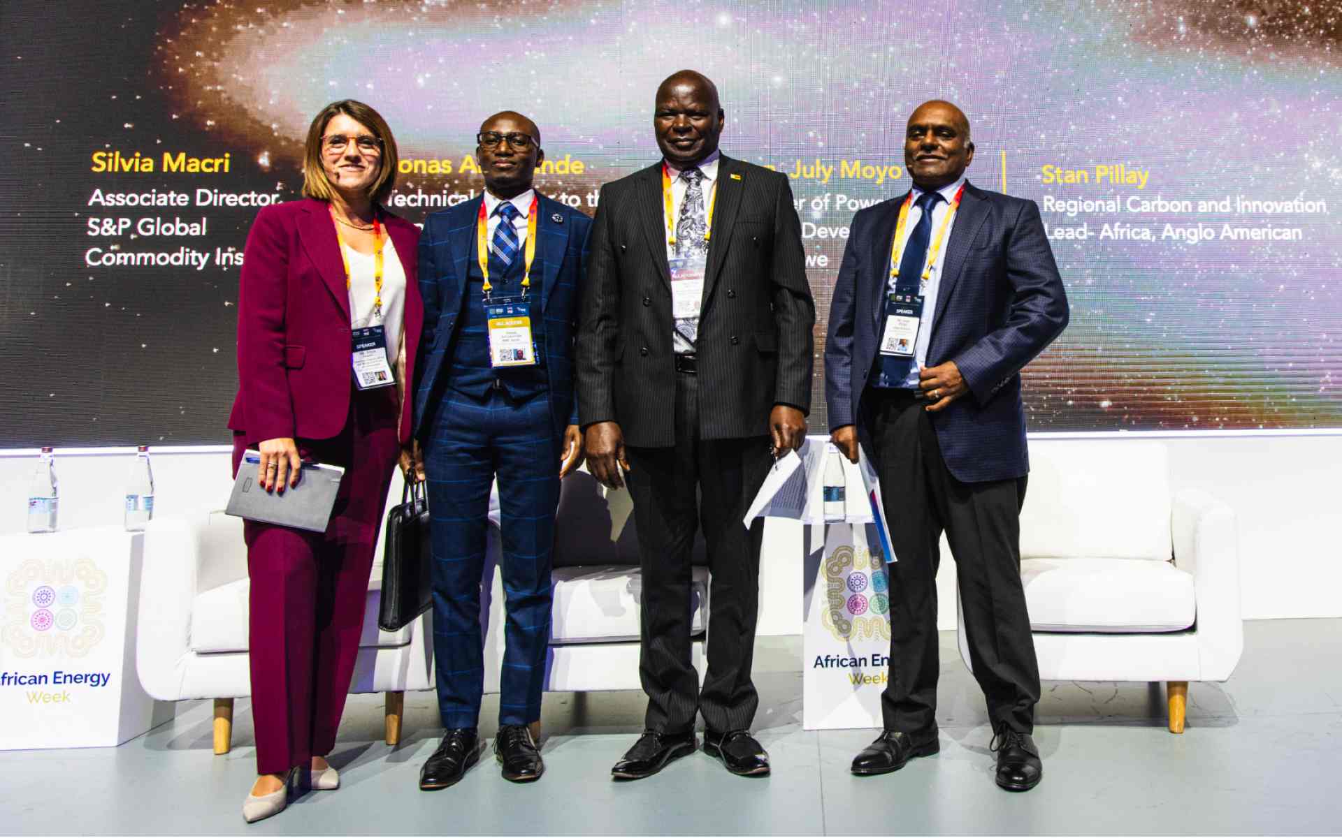 Zimbabwe Seeks Private Investment to Modernize Power Grid